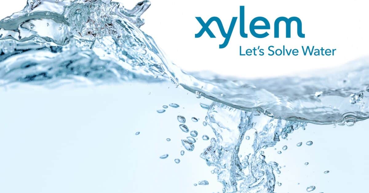 Finding the Strategic Leader to Drive Growth and Water Mission